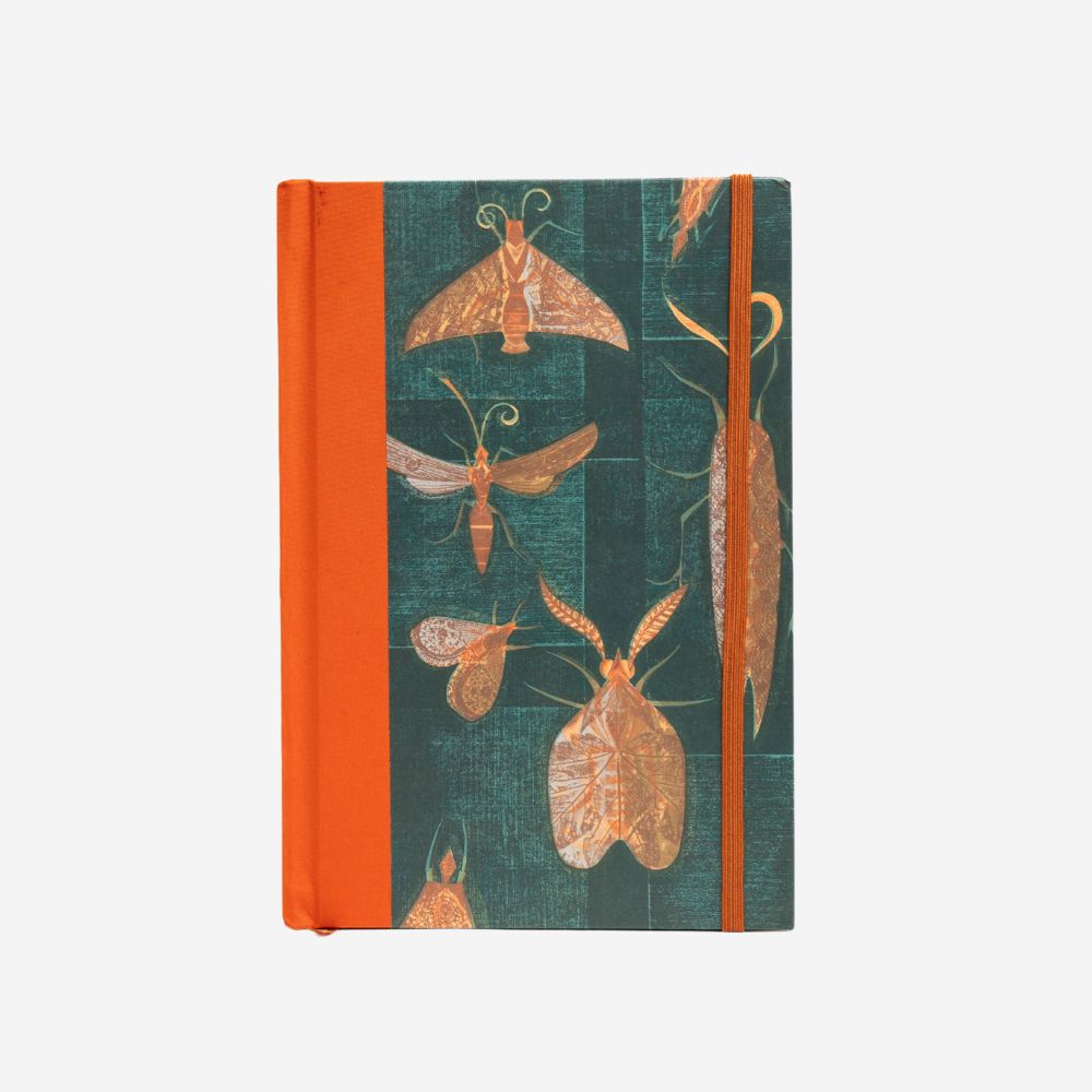 Eileen Mayo - Journal - Moths on the Window – Tikitibu.com
