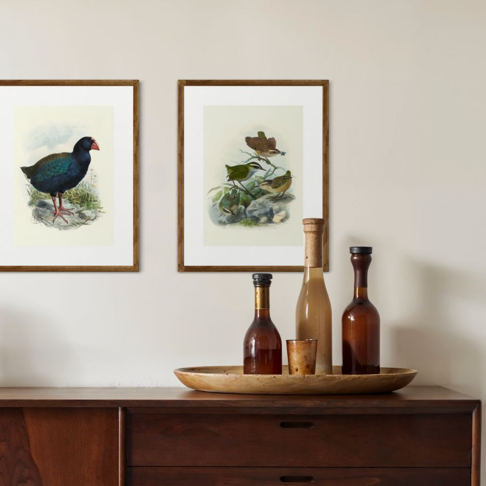 Johannes Keulemans - Print - Bush Wren - Matuhituhi and Rock Wren - Pi ...