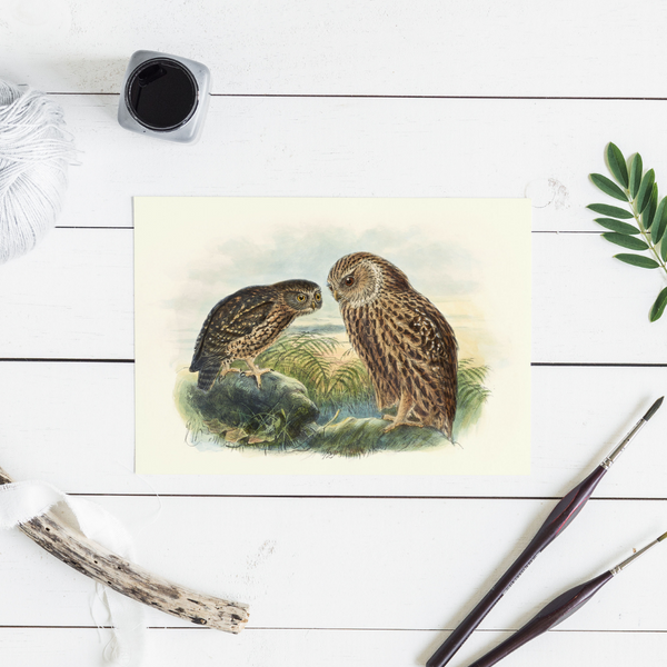 Johannes Keulemans - Cards - Morepork - Ruru and Laughing Owl - Whekau ...